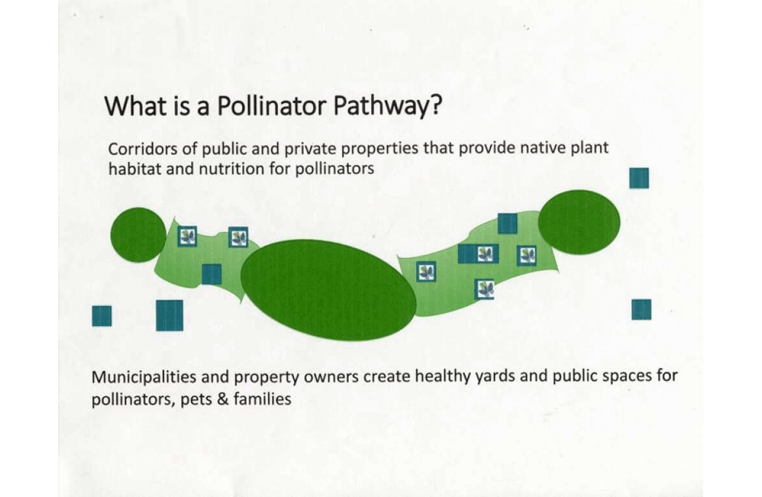 Pollinator Corridors Deemed Important - natureonthebrink.org